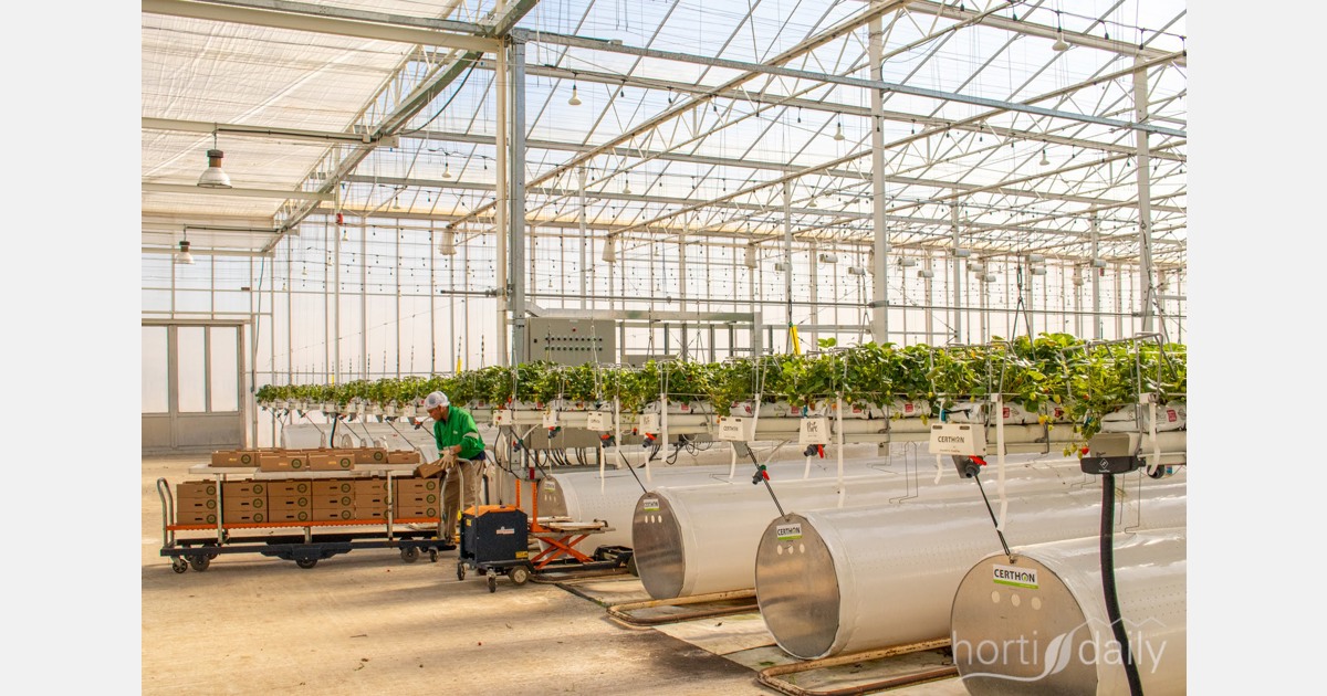 US: North Country Growers unveils a fresh look for their greenhouse ...