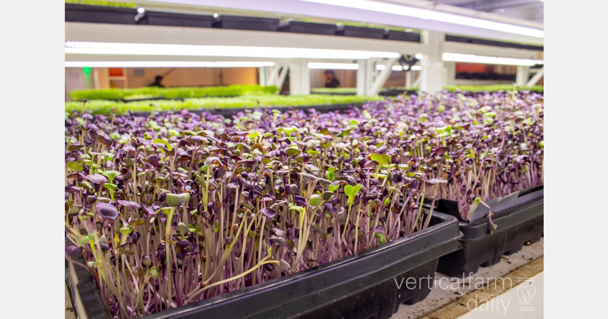 Nature's Miracle to distribute BeGrow stone wool substrate products in ...