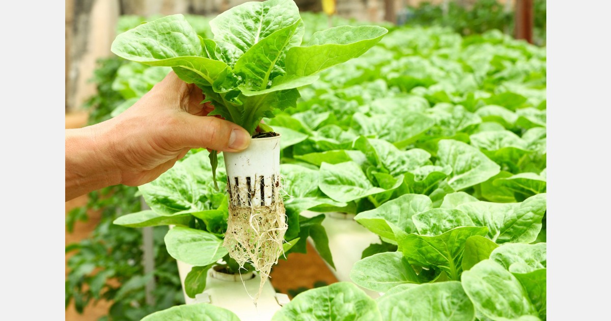 Philippines: Good Food Farm to open on July 23rd