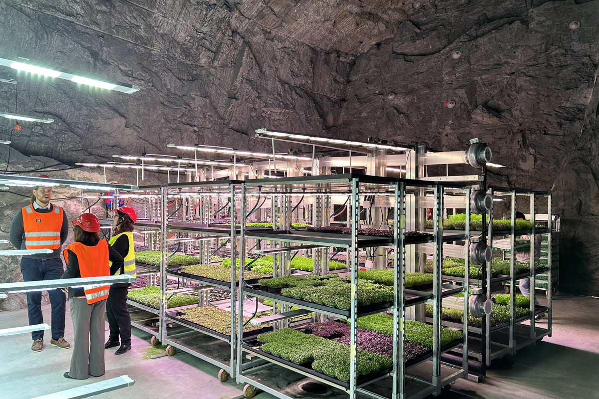 Norway: Cave farm uses natural insulation to cut down OpEx, delivering ...
