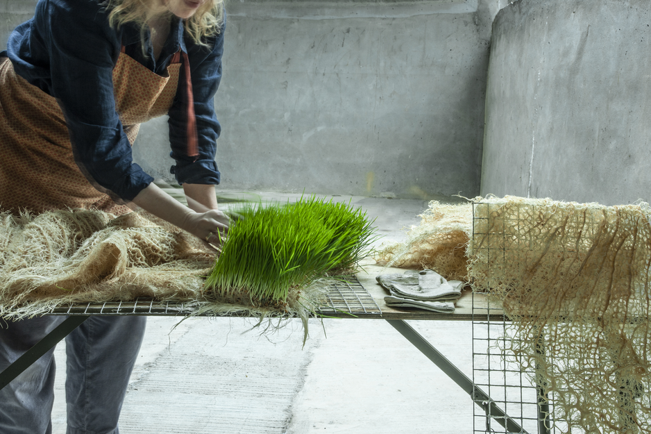 Turning fodder mats into ‘rootfull’ artworks