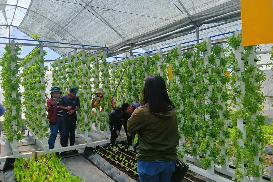 Grower in the Spotlight