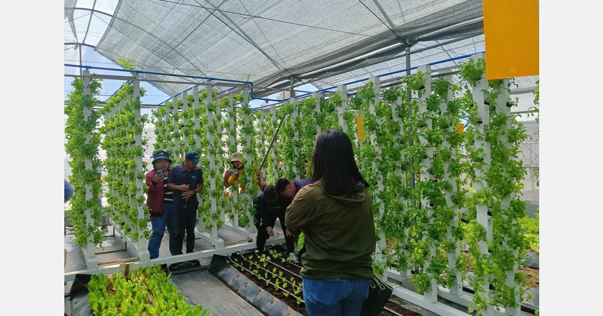 Philippines: Dept of Ag to develop smart farming communities in Cagayan ...