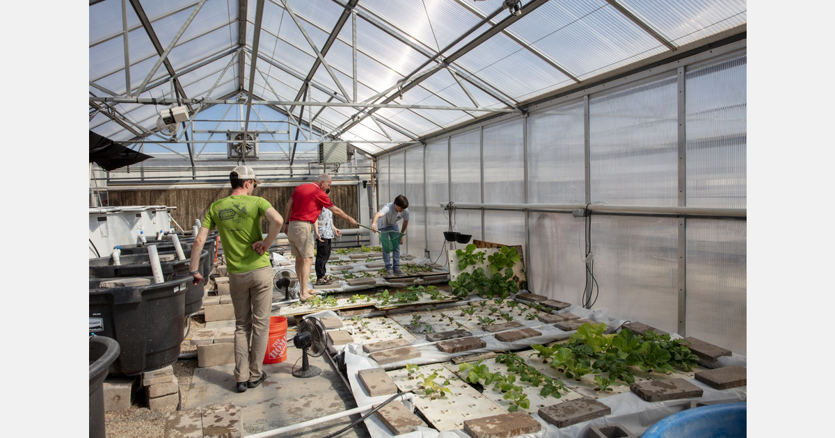 US: $1M USDA training grant enables students to work in studies in ...