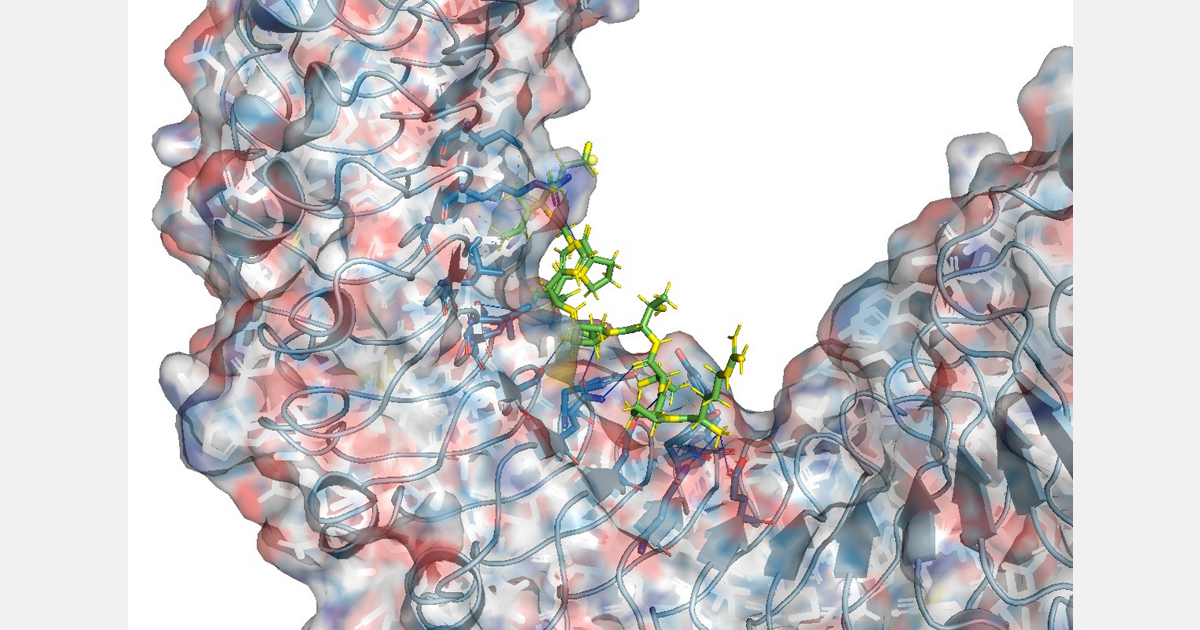 Biostimulant company raises $1M boosting effective and sustainable ...