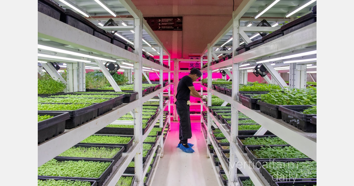 CAN: Public gets first look at urban farming project