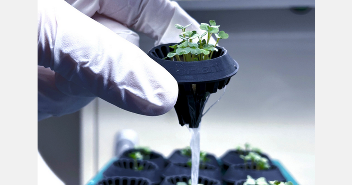 Partnership to advance substrate-free berry and leafy greens cultivation