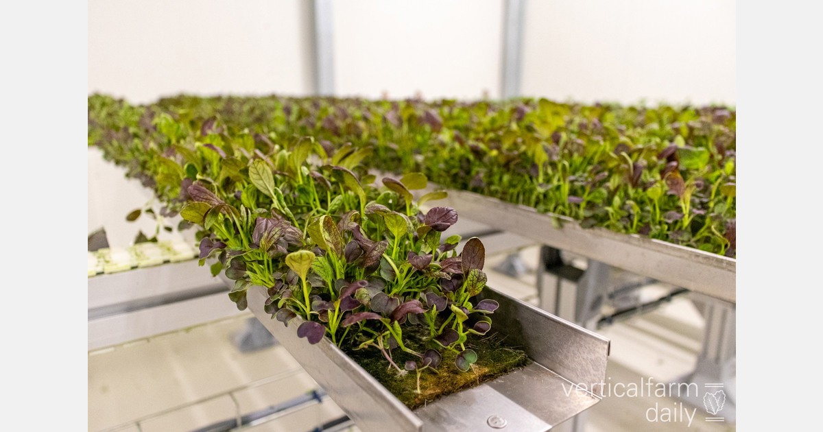 ‘Plant More. Plan Less’