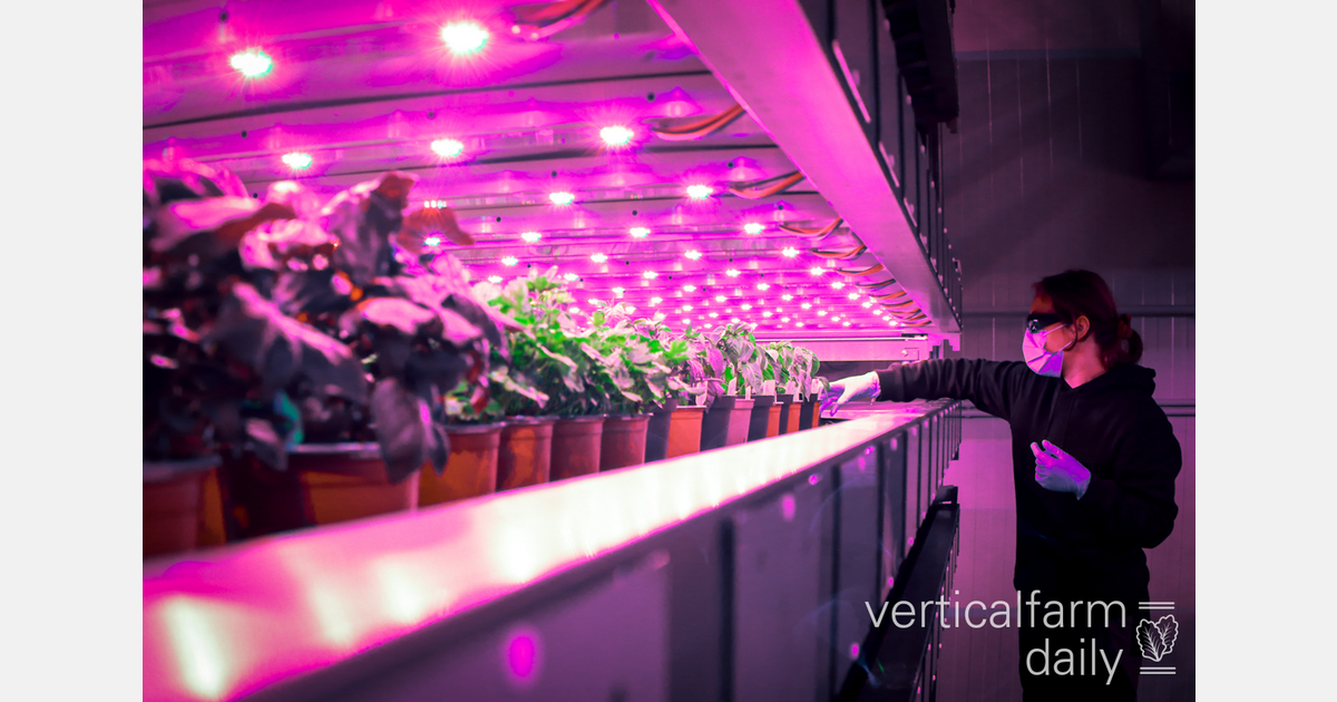 CAN: Training program for careers in vertical farming