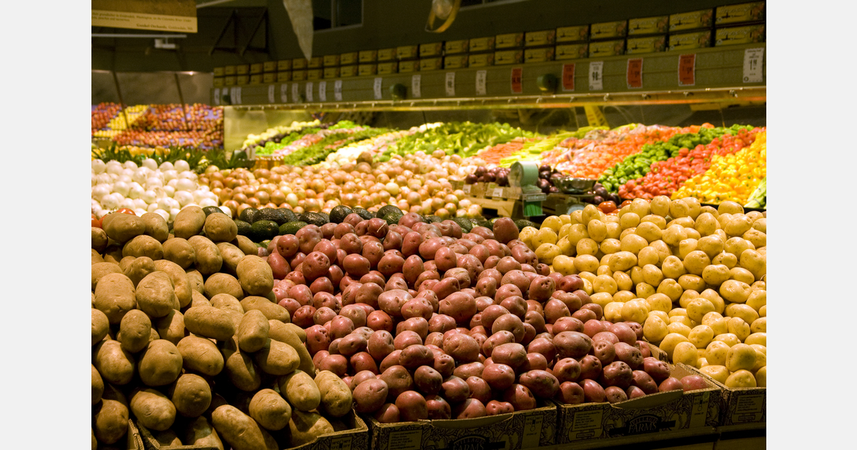 Launching aeroponic research to sustain potato production