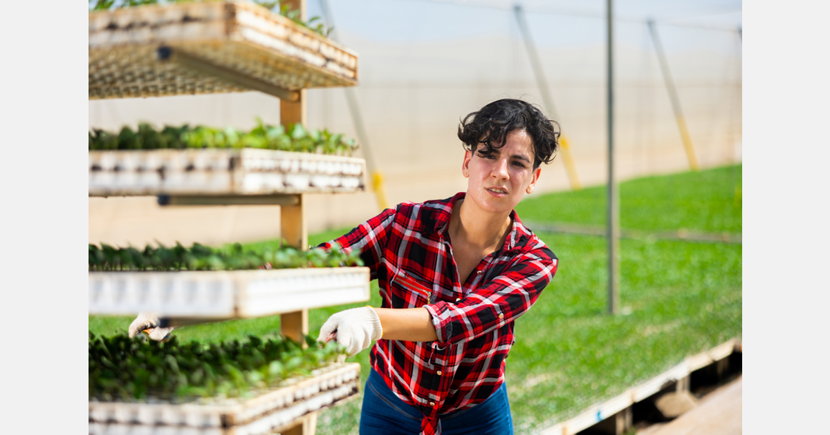 Ten years at Two Roots farm