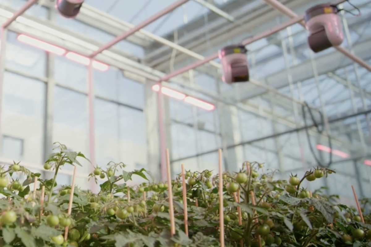 "Biofeedback is the future of autonomous greenhouse cultivation"