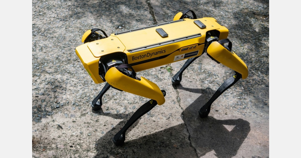 China: "Robot dogs" taking over vegetable inspections in Shougang City