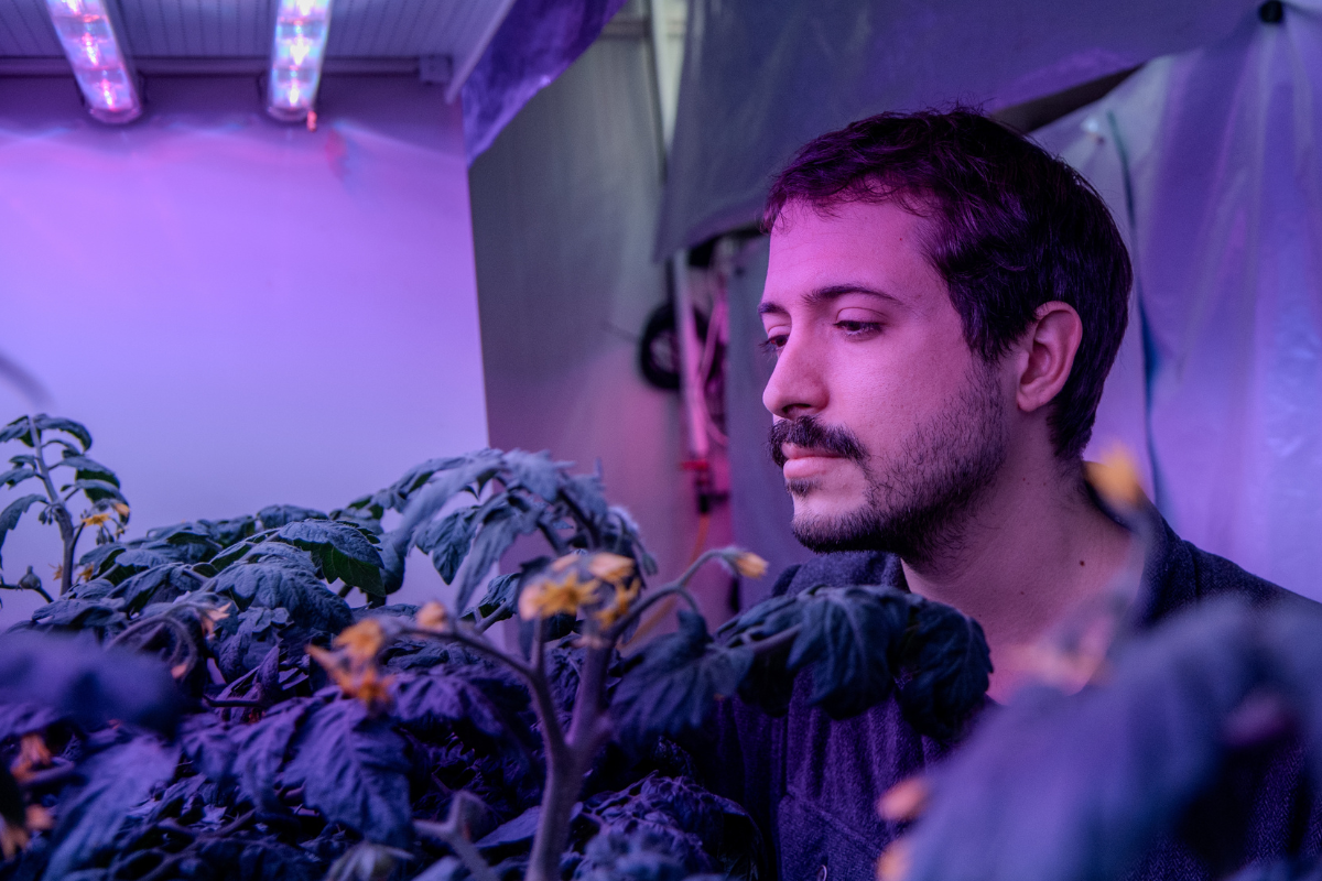 How 3D plant modeling can help determine the ideal plant traits for ...