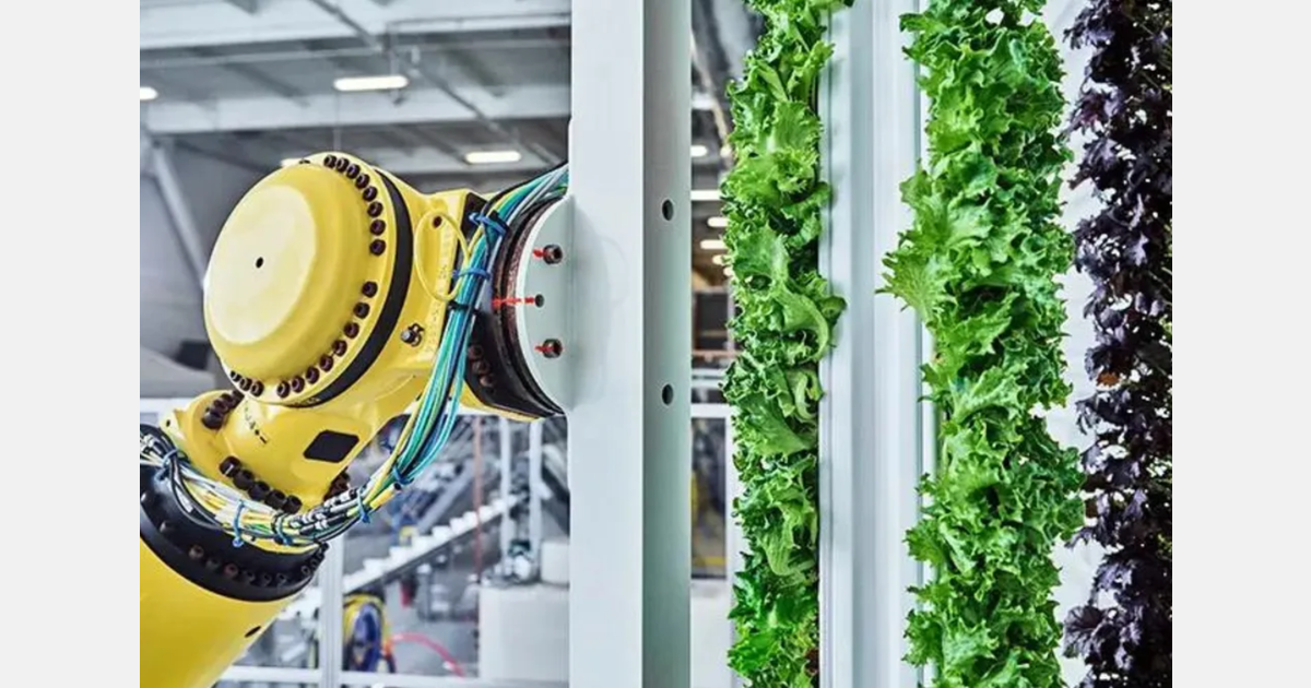 From restructuring to renewal: What’s next for Plenty after Chapter 11 bankruptcy filing