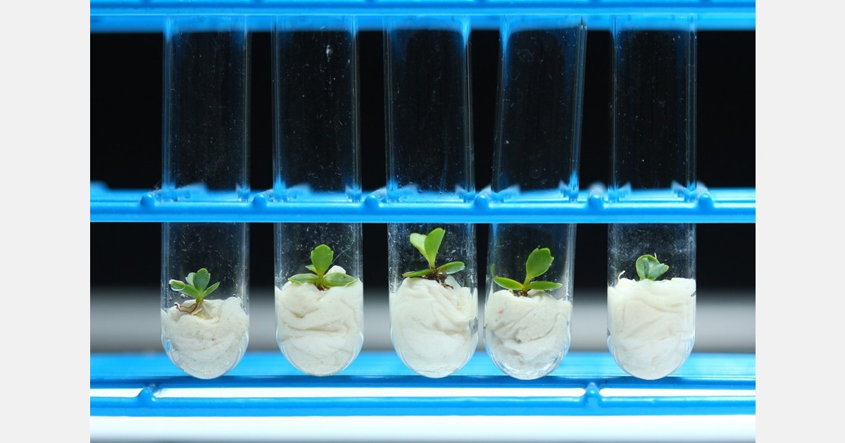 US (MA): New bioscience company launches