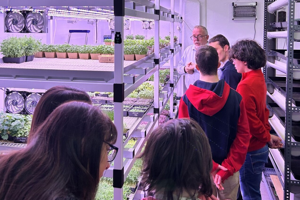 “Urban farming can be accessible and impactful when approached simply ...