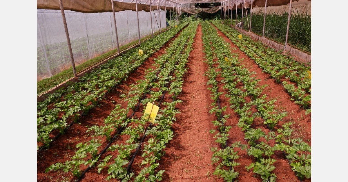 "We've worked with growers long enough to know what slows them down"