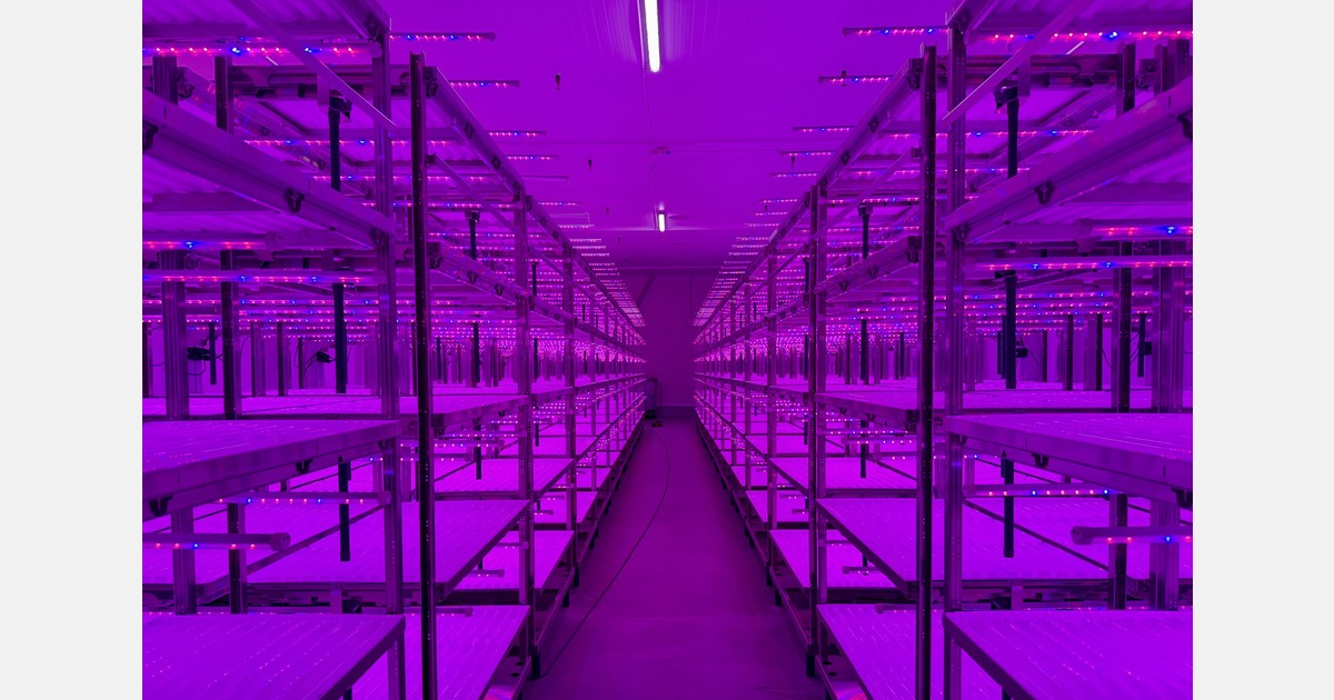 “The model is built for strategic retailers who want tighter control of ...