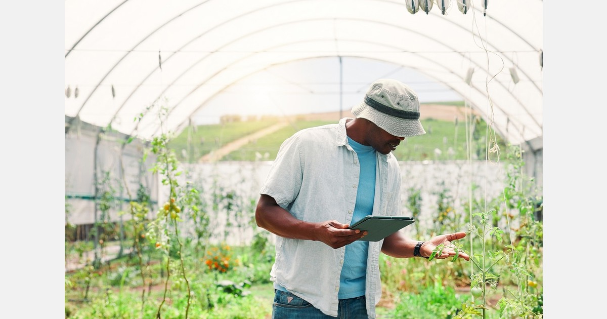 Tanzania unveils digital platform to aid horticulture market