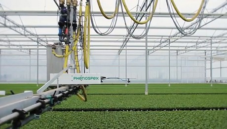 Phenospex' PlantEye gives climate computer green fingers