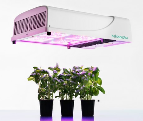 Swedish plant scientists developing self-regulating plant lighting systems