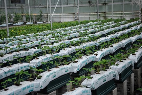 FibreDust LLC looks to emerging markets, opens new offices