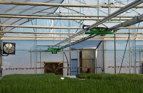 Easy to use, smart watering boom key for irrigation at Hazera Genetics