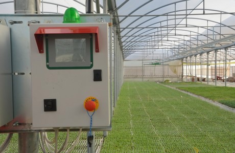 Easy to use, smart watering boom key for irrigation at Hazera Genetics