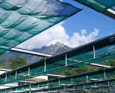 Flame retardant screens: a cost-effective protection against fires