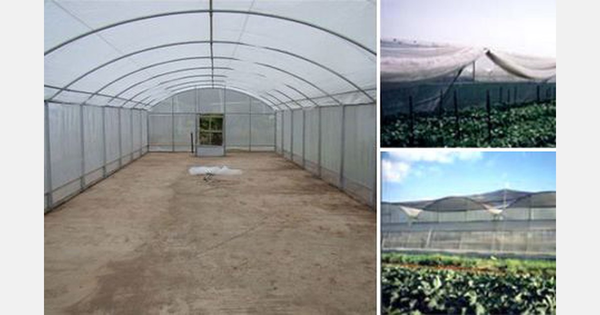"Insect exclusion screens reduce cucumber beetle infestations in high ...