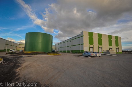 "Mexico: "If you're not disciplined you will not achieve anything!"