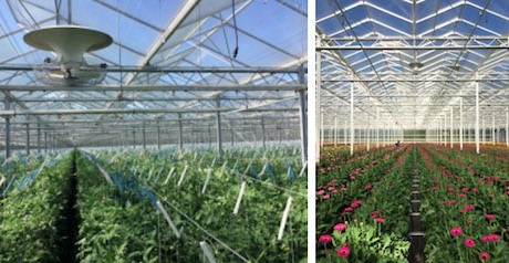 Reducing humidity with vertical and horizontal ventilation