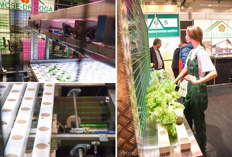 "Cubic plant farms provide a serious solution for local food demand"