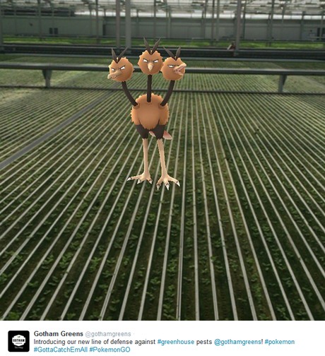 Pokemon tears into greenhouse industry