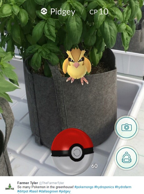 Pokemon tears into greenhouse industry