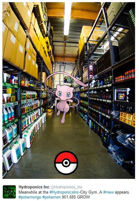 Pokemon tears into greenhouse industry