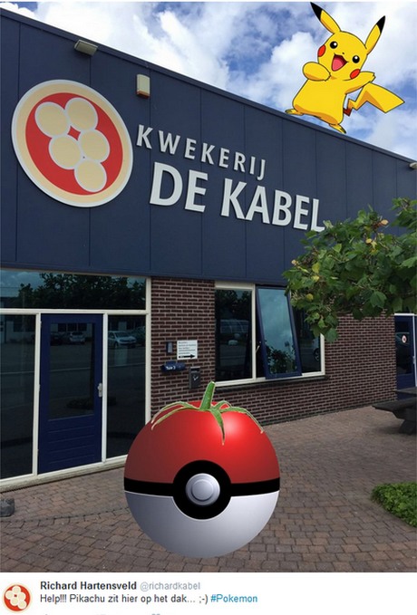 Pokemon tears into greenhouse industry