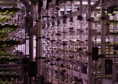 Canadian companies to sprout large scale CubicFarms