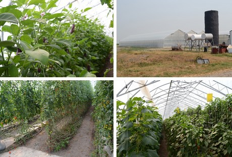 Canada: The challenge of running a small scale family farm